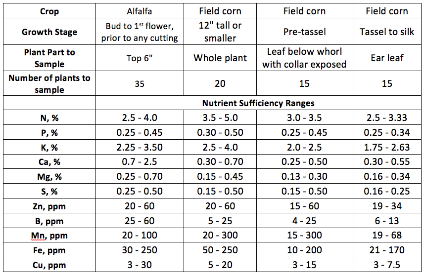Plant Analysis Are You Using It And Interpreting The Results Correctly