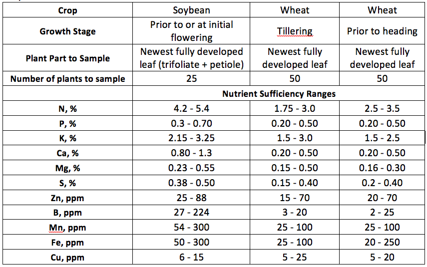 Plant Analysis Are You Using It And Interpreting The Results Correctly